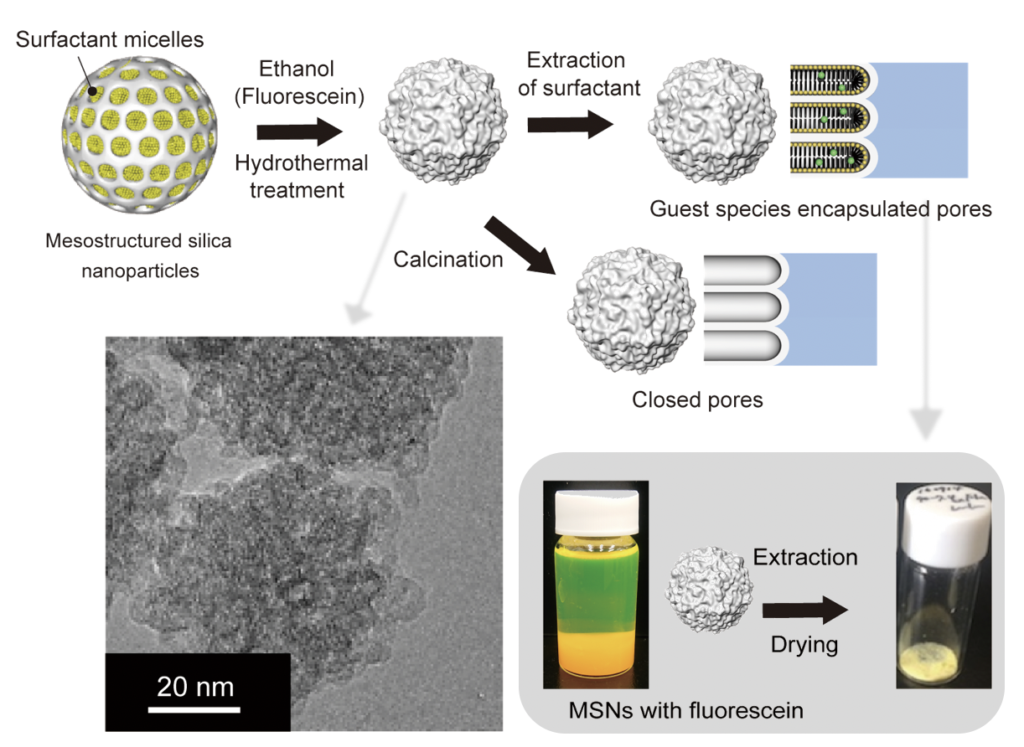 Formation of Closed Pores in Mesoporous Silica Nanoparticles by ...