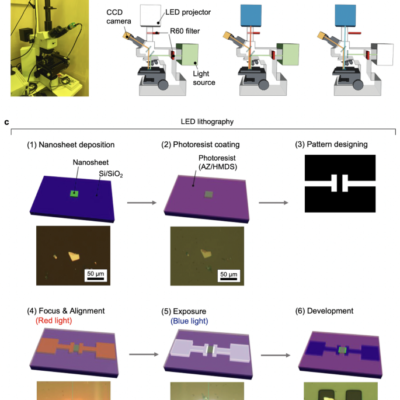 Sci. Rep. - 名古屋大学 未来材料・システム研究所 長田研究室