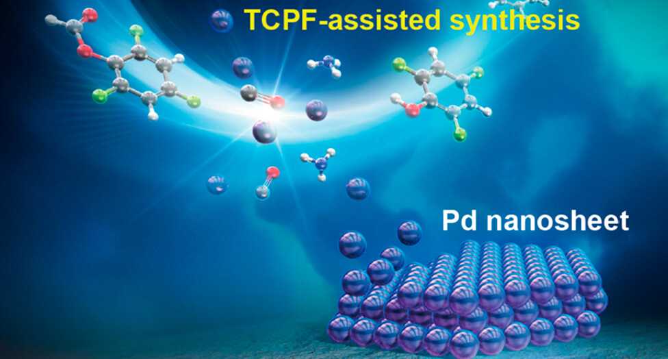 Facile Synthesis of Pd Nanosheets and Implications for Superior ...